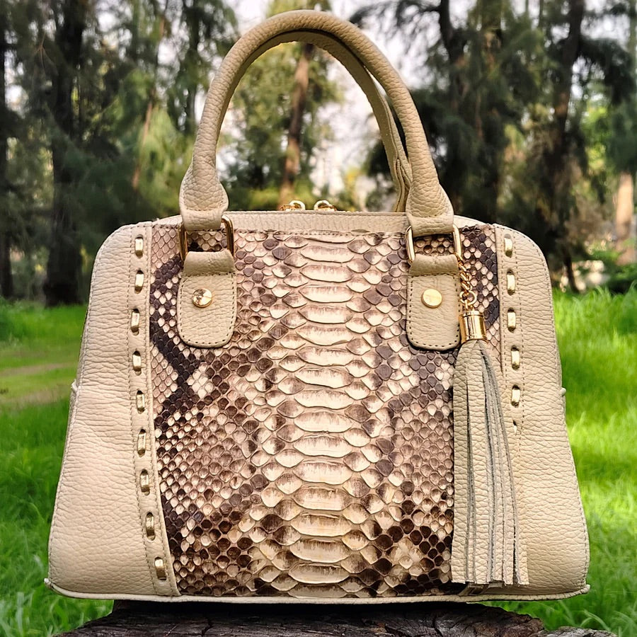 Carolina Python – Chamarras Chingonas!